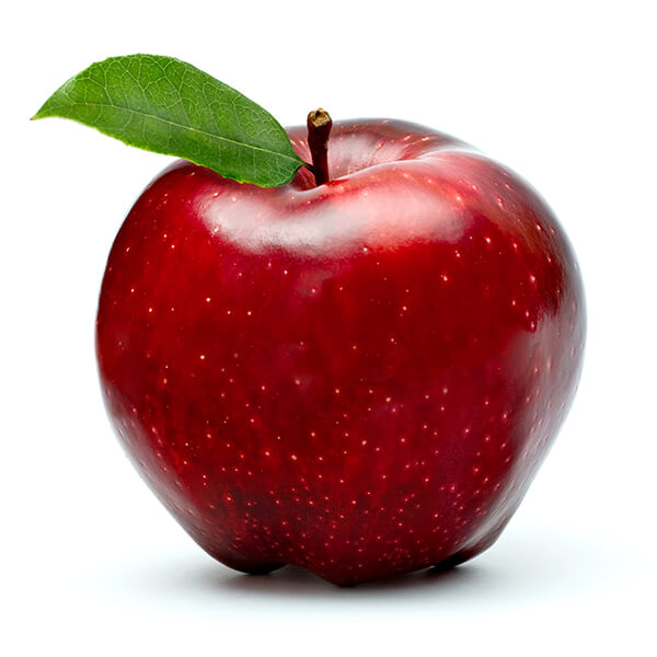 Random Object Generator - Generators List