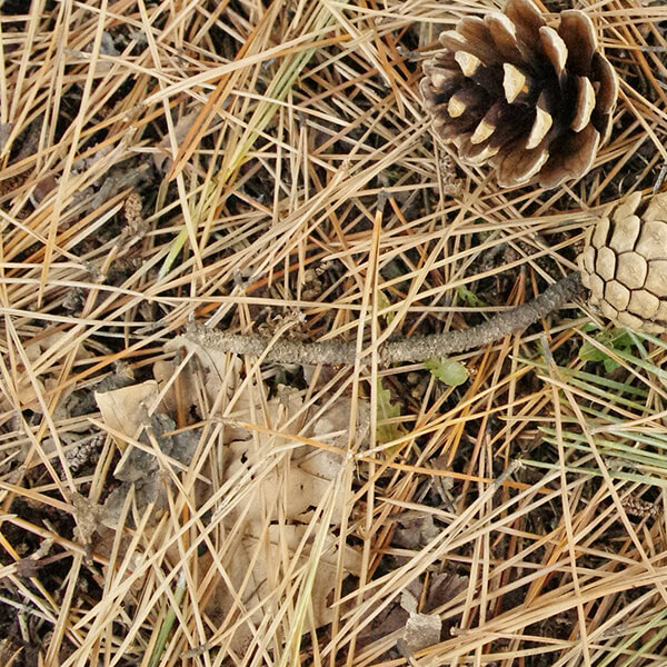 Random Object Generator - Generators List