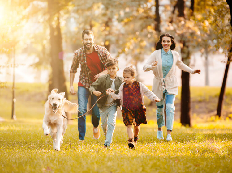 Random Pictures - Generators List