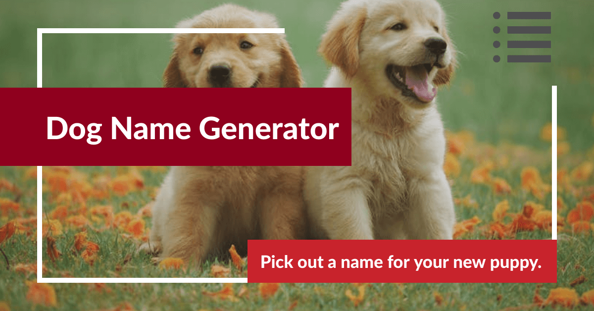 Dog Name Generator Generators List Dog Name Generator Generators List
